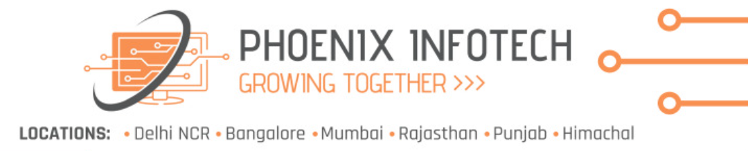 Phoenix Infotech